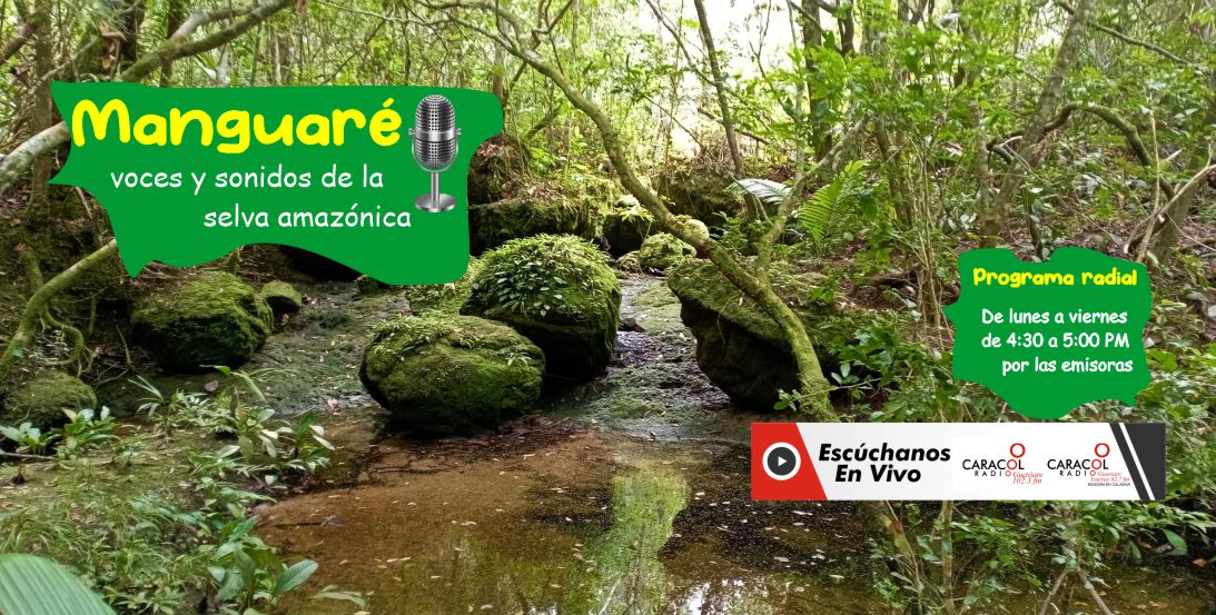 Podcast: En Manguaré, hablamos de cómo conservar el agua - 17/05/2023 ...